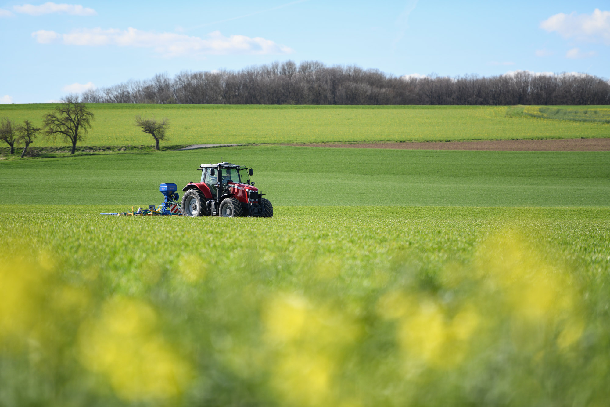 Ackerbau - Biohof Haag